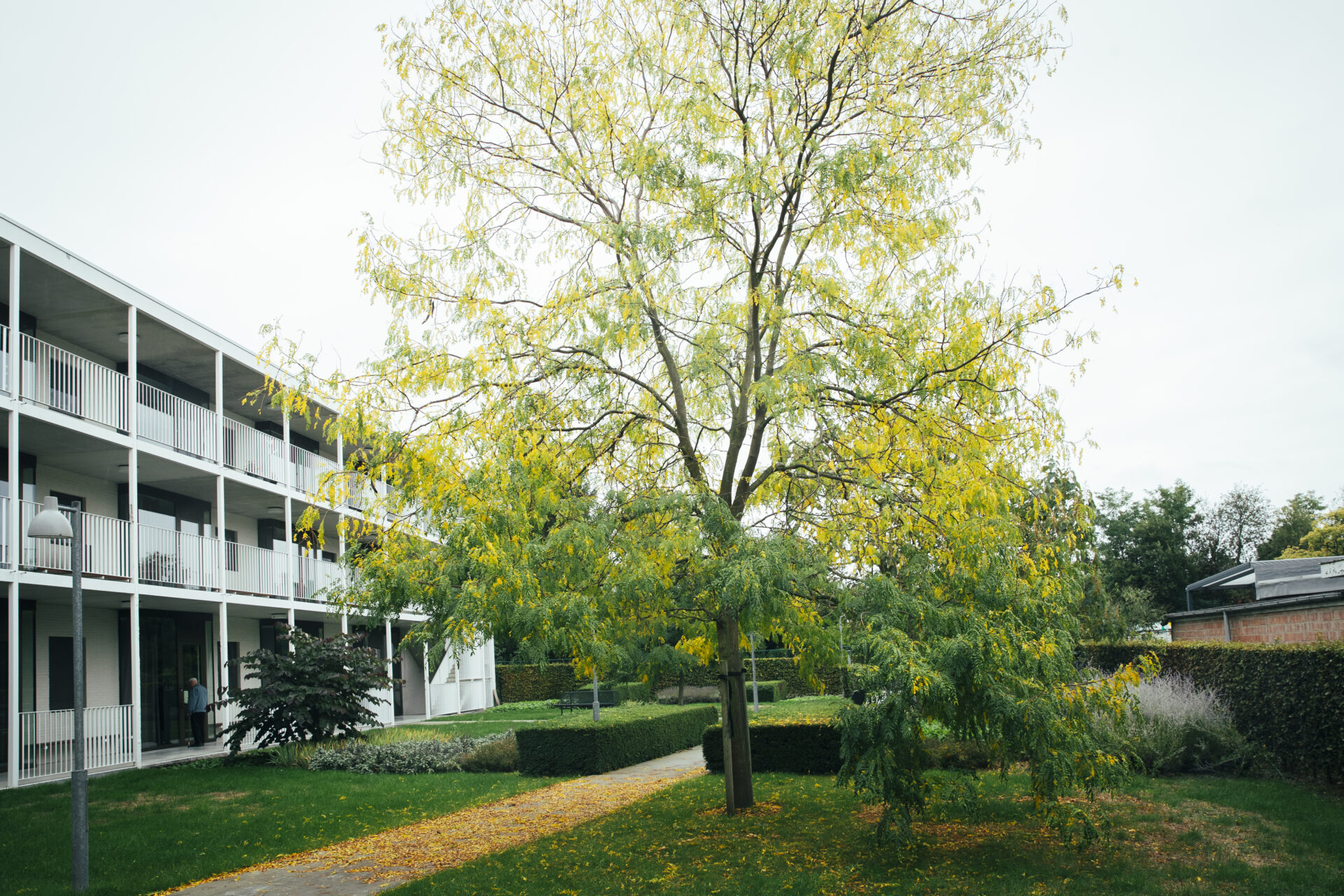 Historiek | Zorgcampus Denderrust